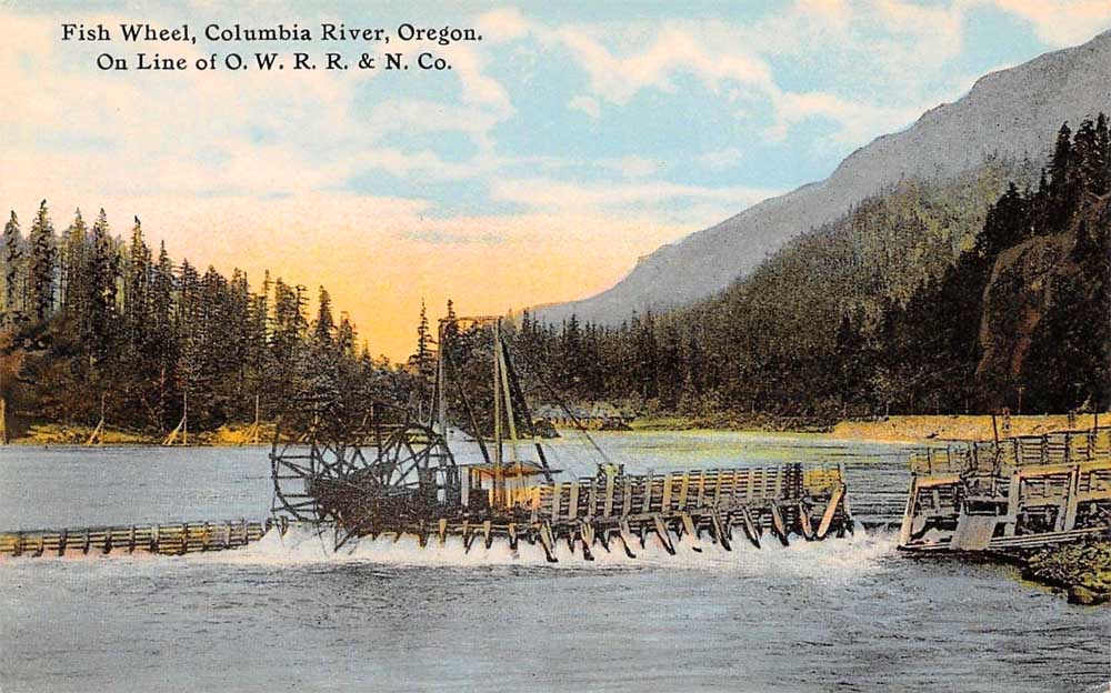 Fish wheels are a legacy of when the Columbia swarmed with salmon ...