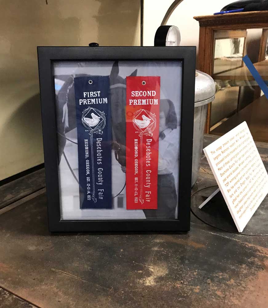 New director in charge for centennial Deschutes County Fair and Rodeo ...