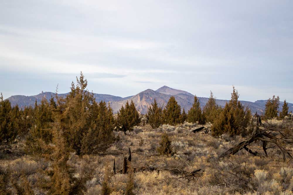 Skyline Village renamed, slowly moves forward | Redmond Spokesman