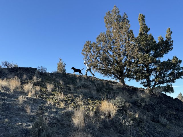 Nighthawk Trail in Badlands offers a sunny winter break near Bend ...
